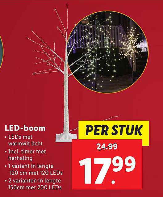 Led-Boom aanbieding bij Lidl