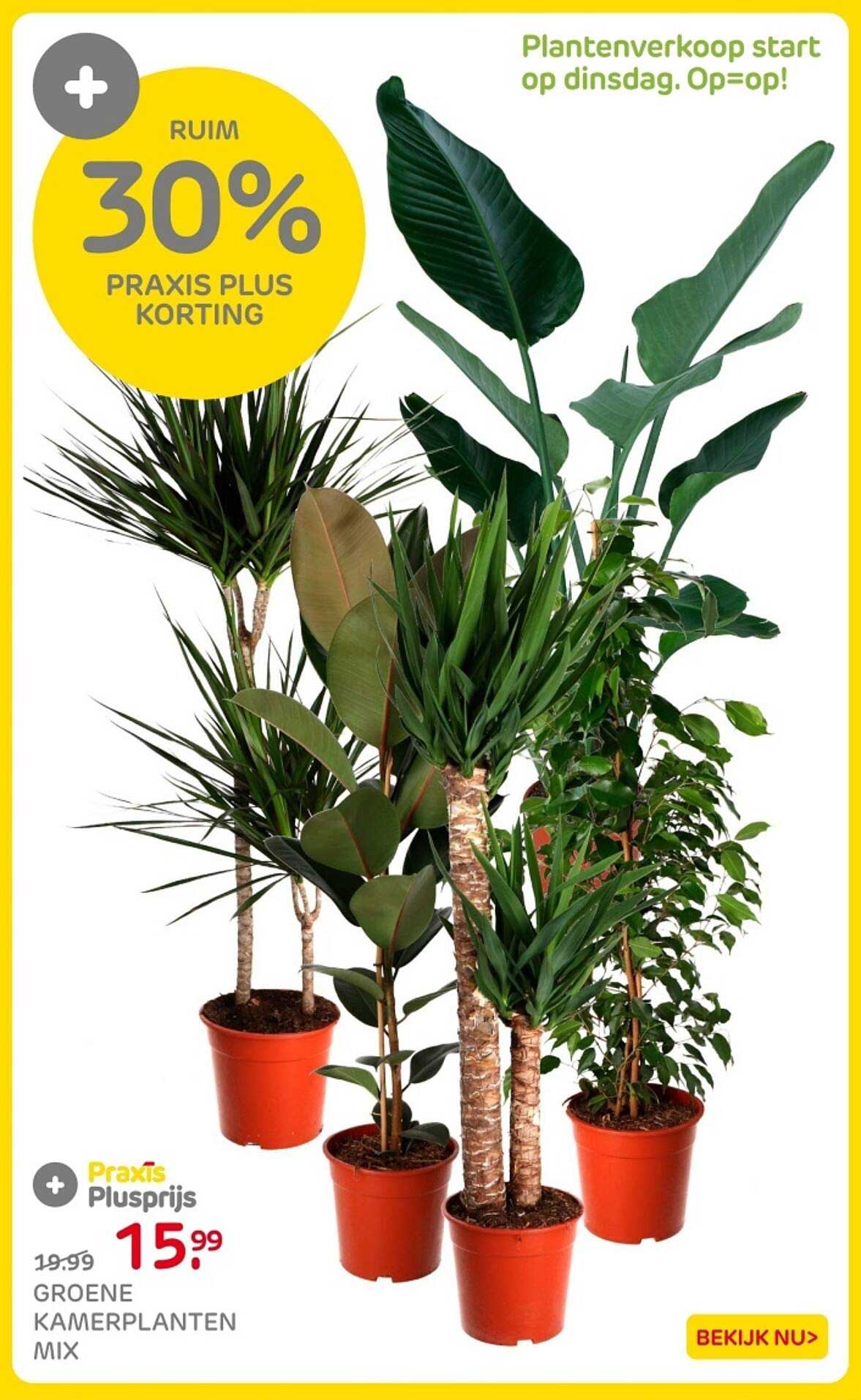 Groene Kamerplanten-Mix Aanbieding bij Praxis - FolderFeest.nl