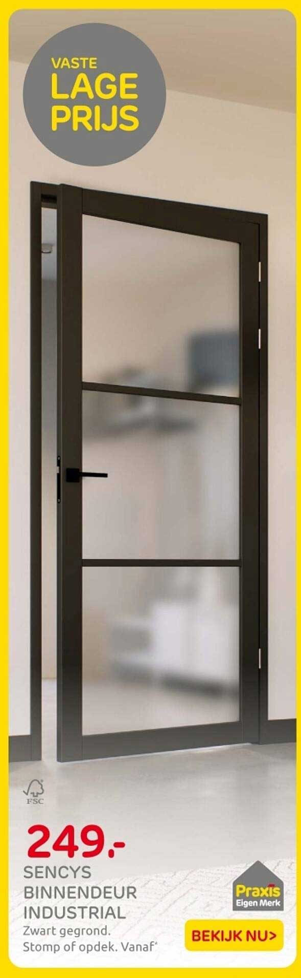 Sencys Binnendeur Industrial Aanbieding bij Praxis - FolderFeest.nl