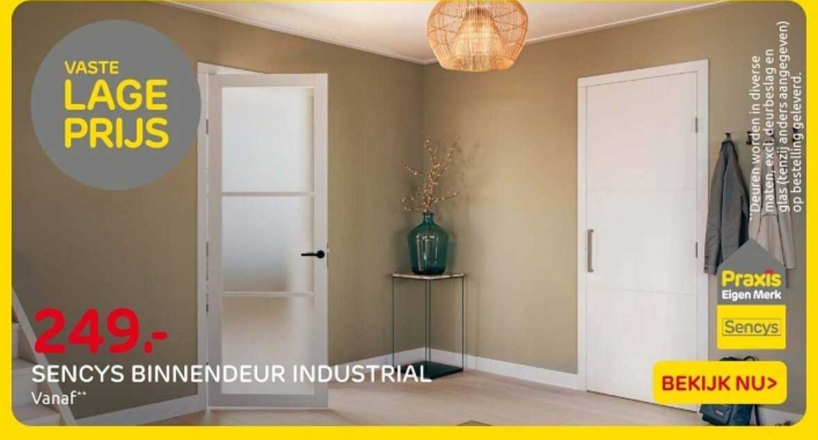 Sencys Binnendeur Industrial Aanbieding bij Praxis - FolderFeest.nl