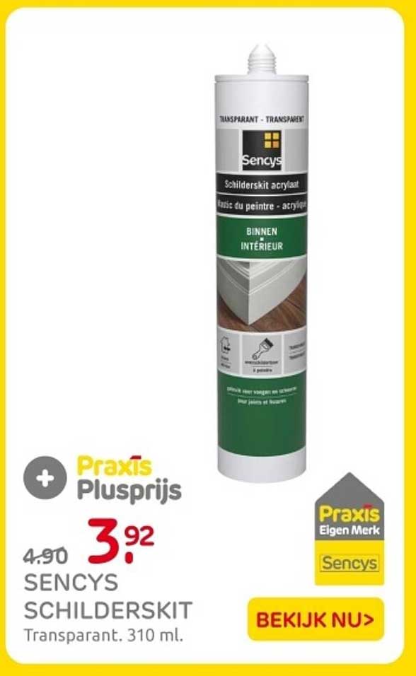 Sencys Schilderskit Aanbieding bij Praxis - FolderFeest.nl