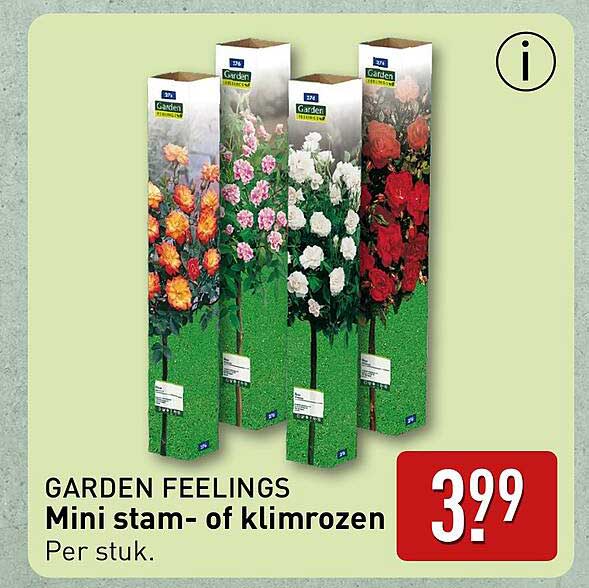 Garden Feelings Wer Steckt Dahinter