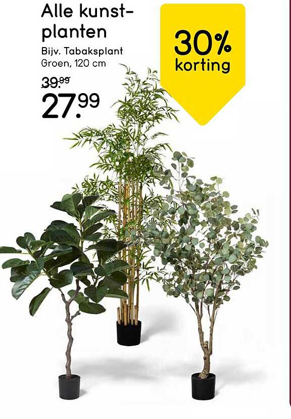 Alle Kunst-Planten Aanbieding bij Leen Bakker - FolderFeest.nl