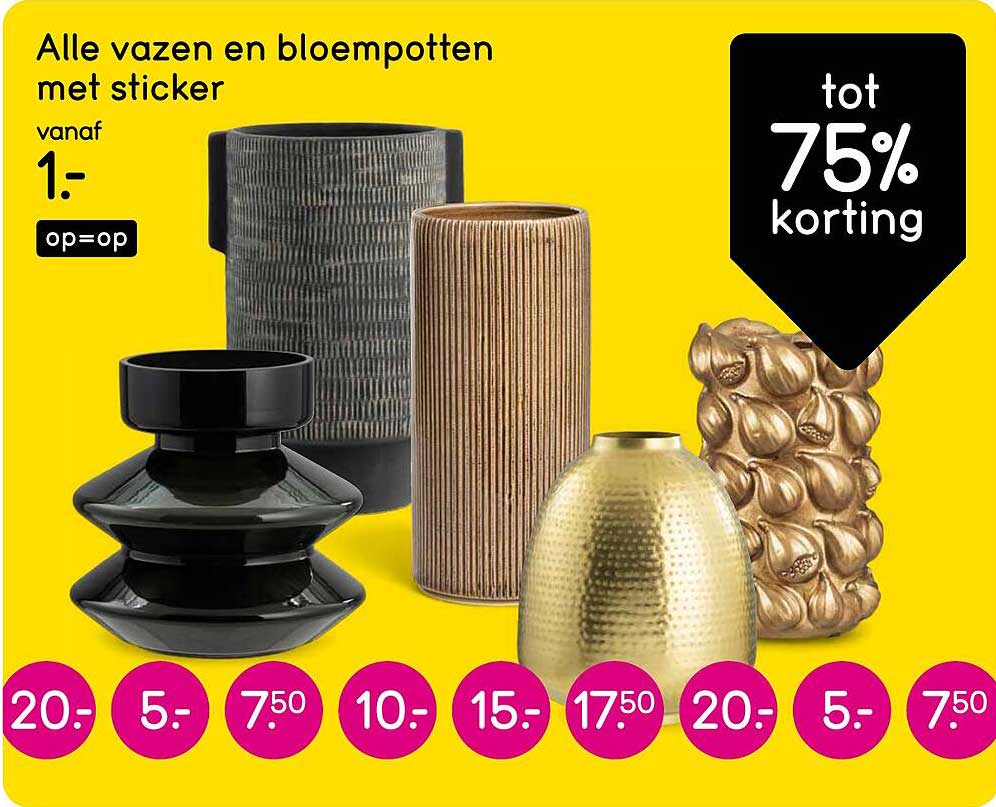 Alle Vazen En Bloempotten Met Sticker Aanbieding bij Leen Bakker ...