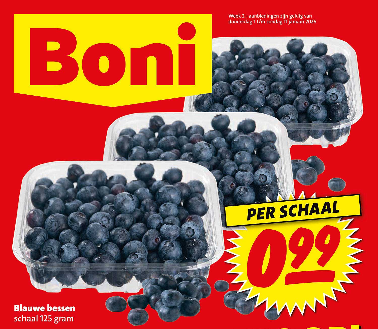 Blauwe Bessen Aanbieding bij ALDI - FolderFeest.nl