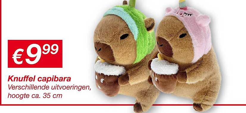 Knuffel Capibara Aanbieding bij KiK - FolderFeest.nl