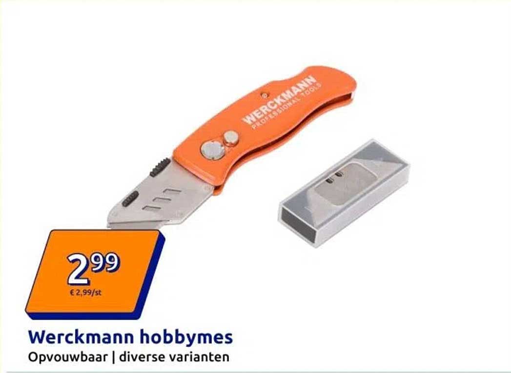 Werckmann Hobbymes aanbieding bij Action