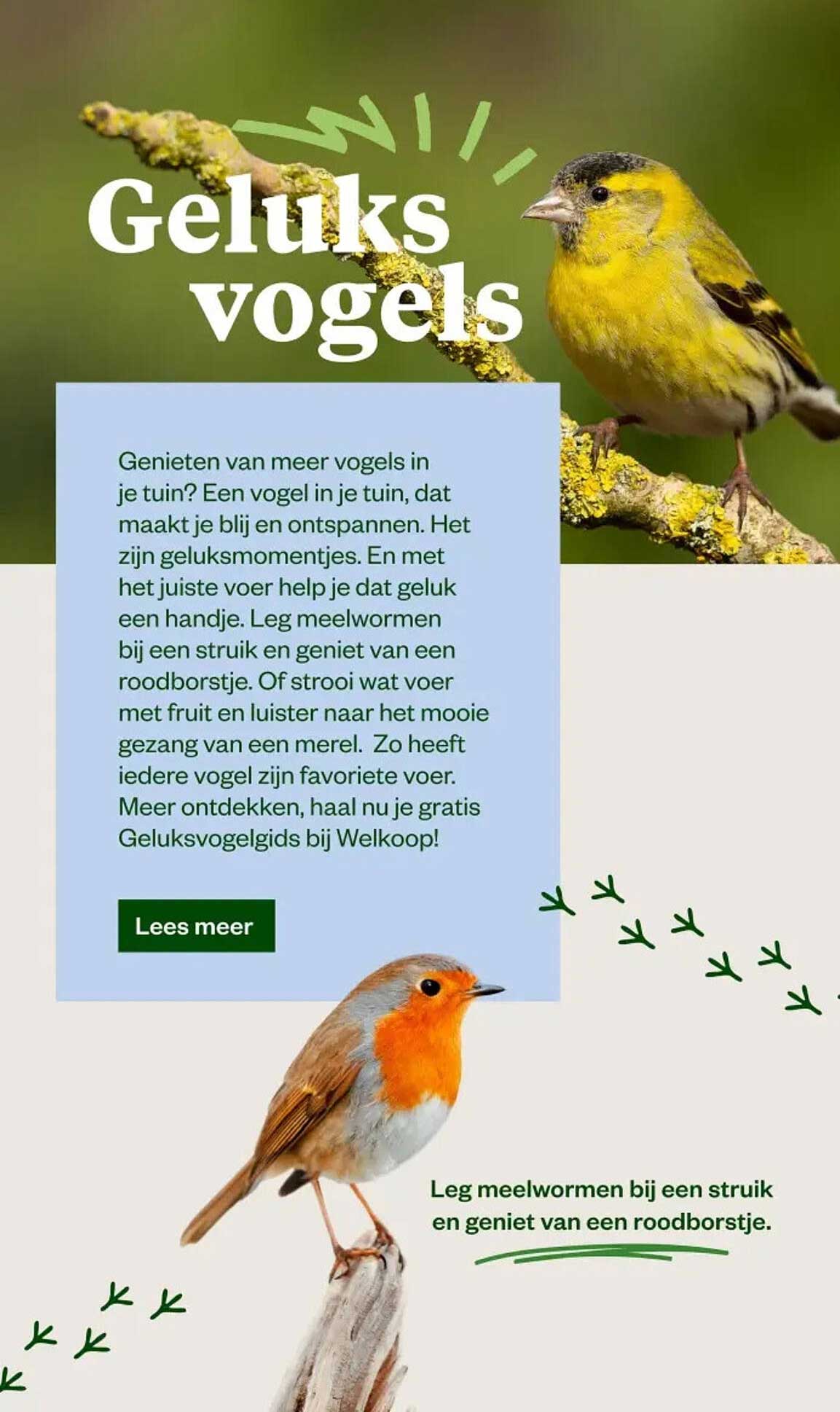 Geluks Vogels Aanbieding bij Welkoop - FolderFeest.nl