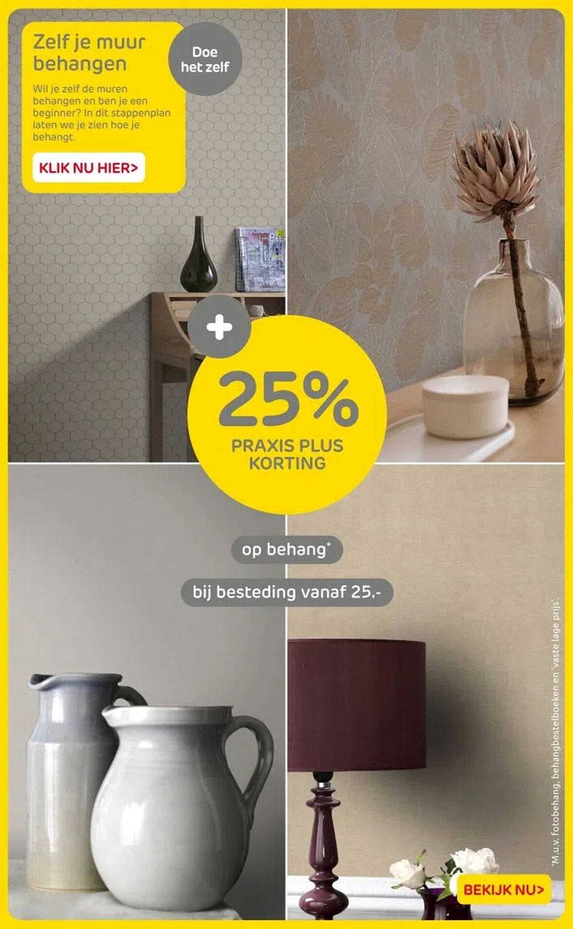 Zelf Je Muur Behangen aanbieding bij Praxis