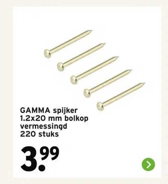 Gamma Spijker aanbieding bij GAMMA