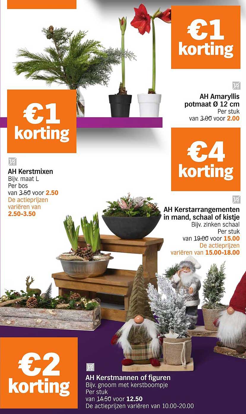 Ah Amaryllis Potmaat Ø 12 Cm Aanbieding bij Albert Heijn - FolderFeest.nl