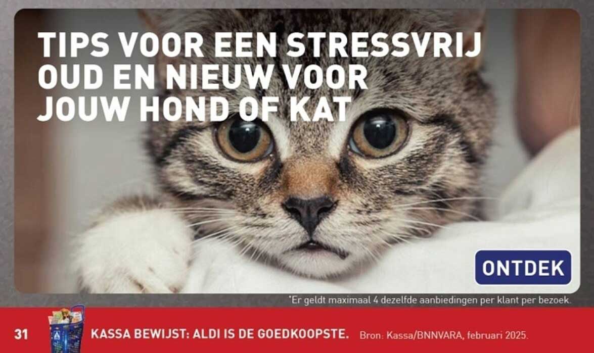 Tips Voor Een Stressvrij Oud En Nieuw Voor Jouw Hond Of Kat Aanbieding ...