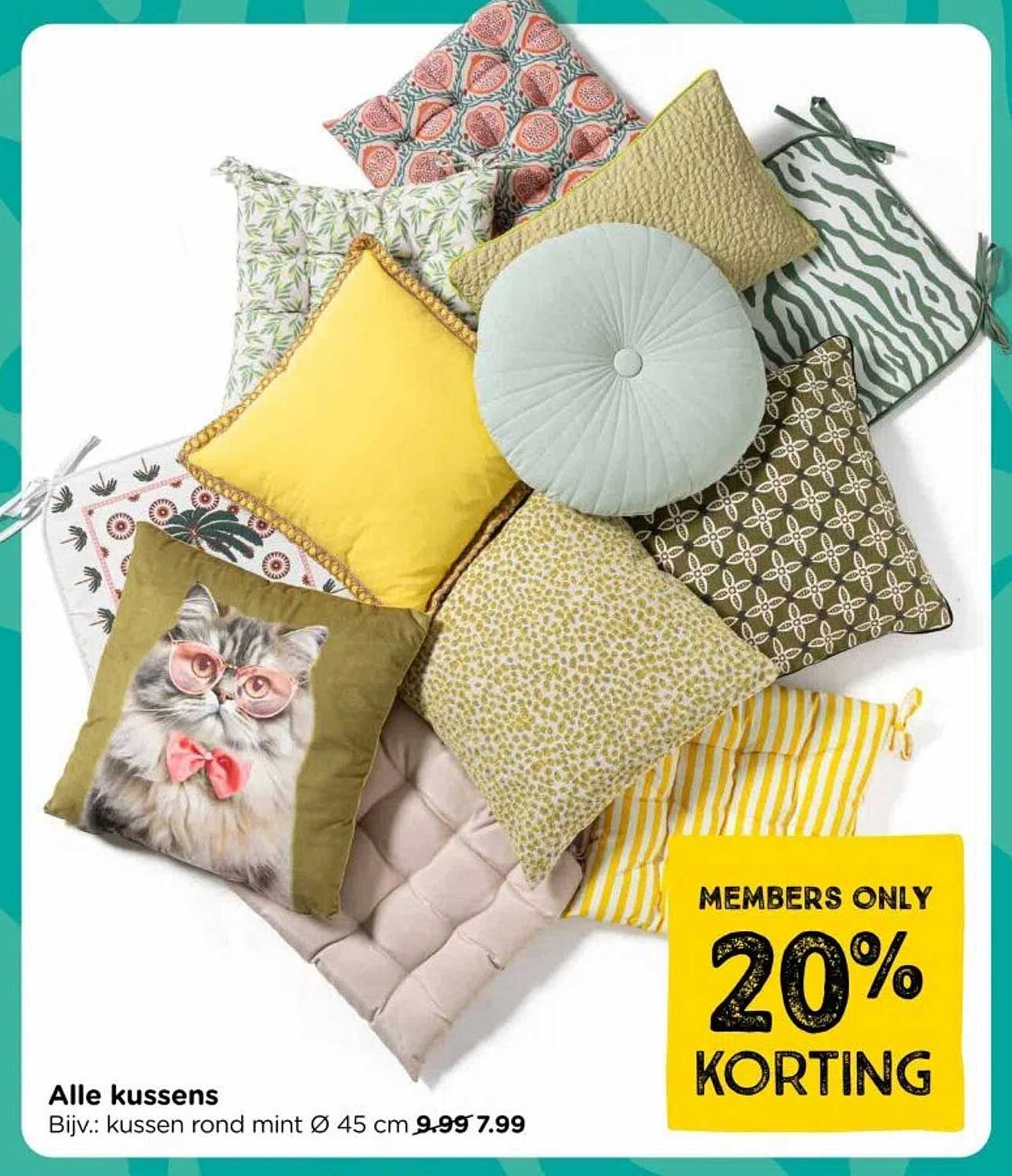 Alle Kussens Aanbieding bij Xenos - FolderFeest.nl