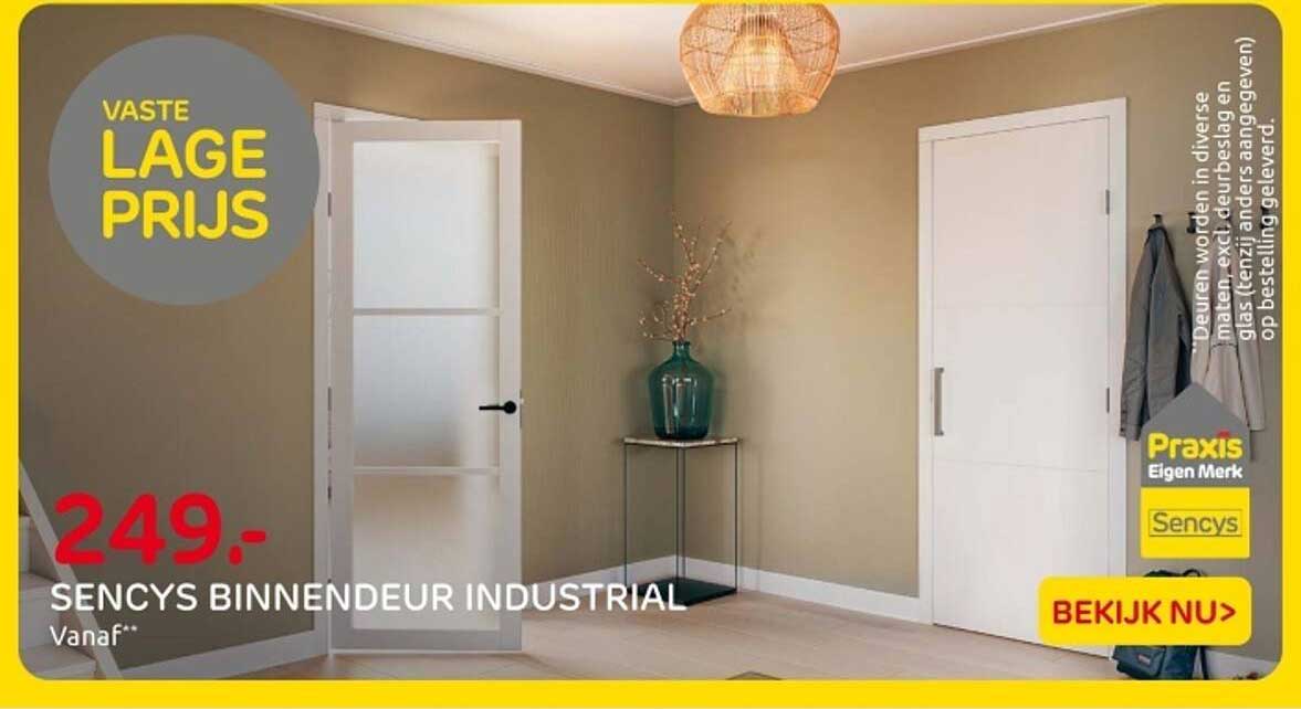 Sencys Binnendeur Industrial Aanbieding bij Praxis - FolderFeest.nl