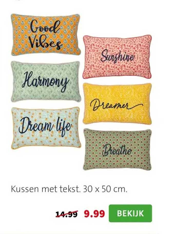 Kussens Met Tekst. 30 X 50 Cm. Aanbieding bij Intratuin - FolderFeest.nl