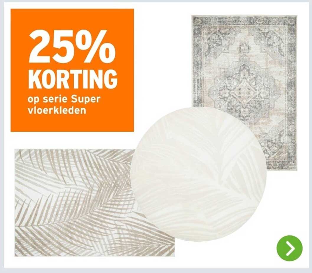25% Korting Op Serie Super Vloerkleden aanbieding bij GAMMA