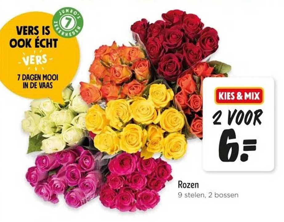 Rozen aanbieding bij Jumbo