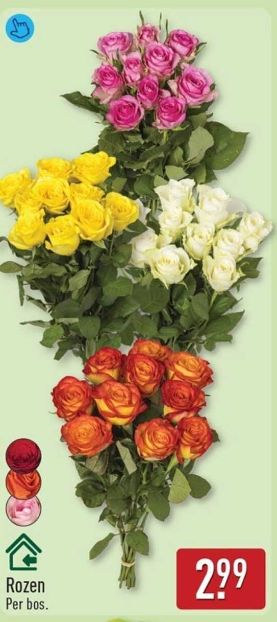 Rozen Aanbieding bij Poiesz - FolderFeest.nl