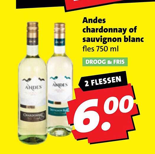 Andes Chardonnay Of Sauvignon Blanc Fles 750 Ml Aanbieding bij ...