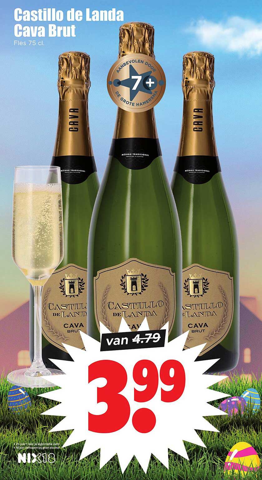 Castillo De Landa Cava Brut Fles 75 Cl aanbieding bij Dirk