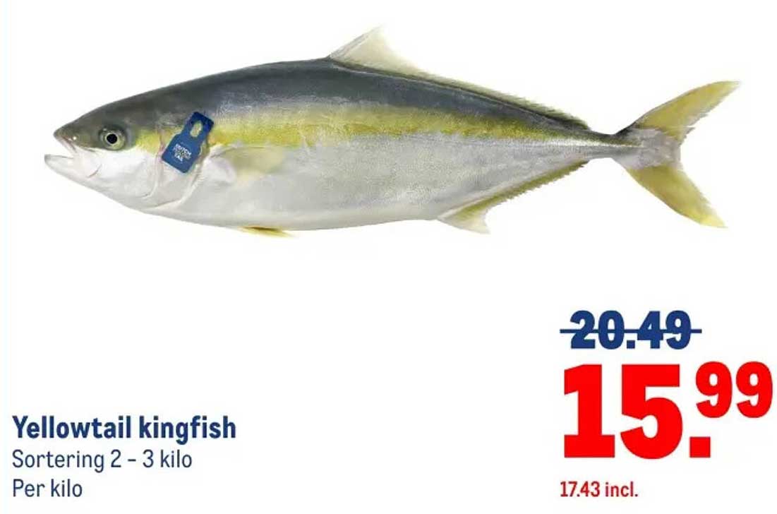 Yellowtail Kingfish aanbieding bij Makro