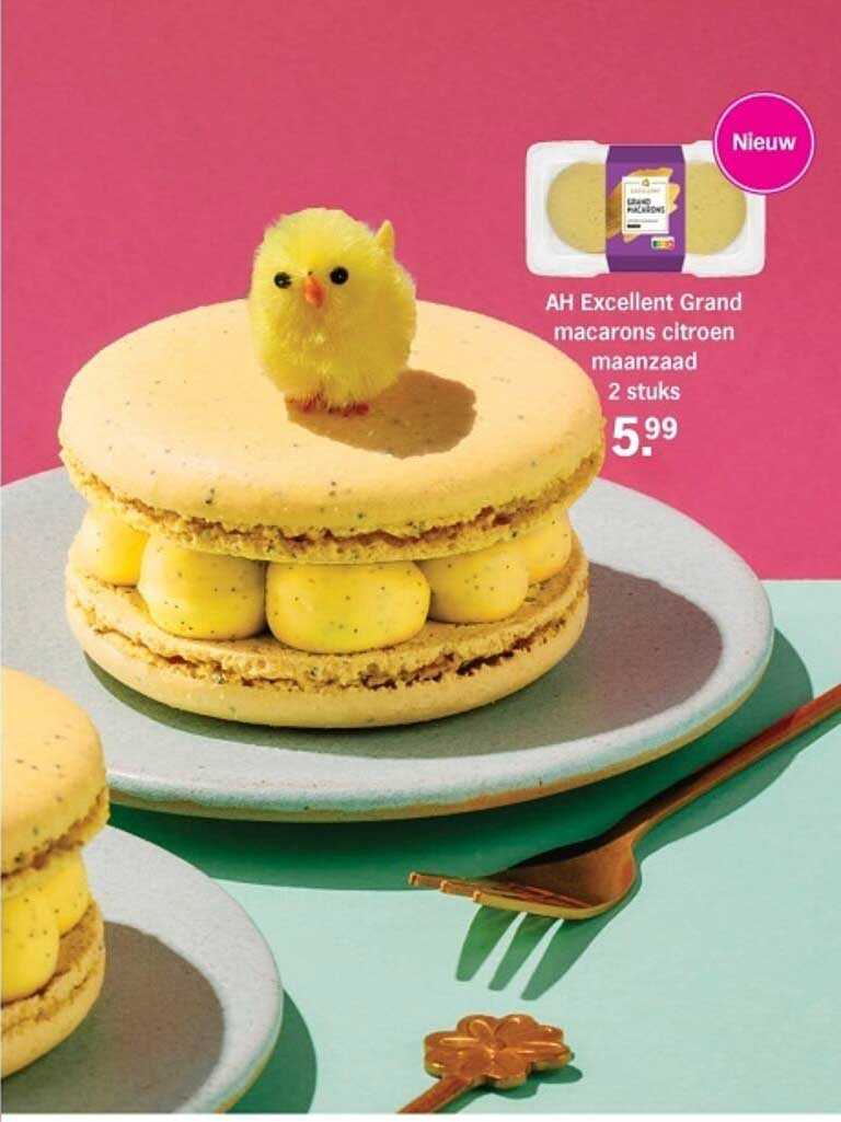 Ah Excellent Grand Macarons Citroen Maanzaad 2 Stuks Aanbieding bij ...
