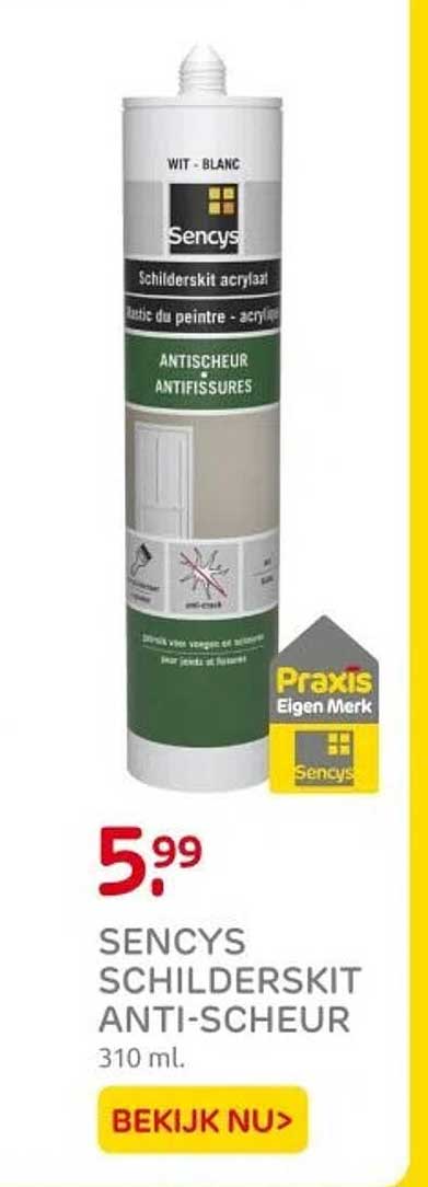 Sencys Schilderskit Anti-Scheur 310 Ml aanbieding bij Praxis