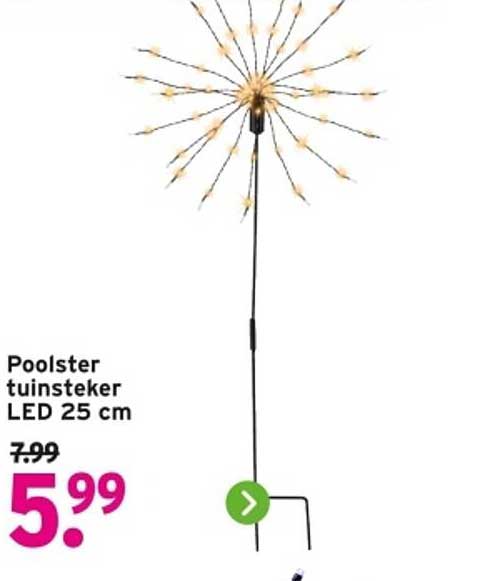 Poolster Tuinstekker Led 25 Cm aanbieding bij GAMMA