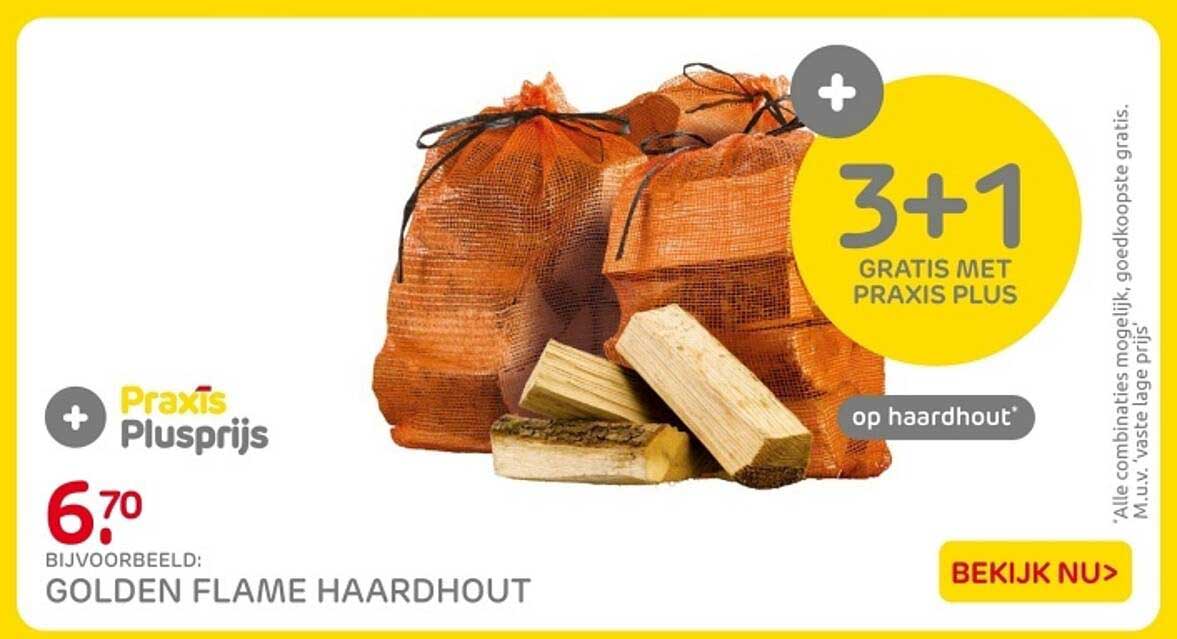 Golden Flame Haardhout Aanbieding bij Praxis - FolderFeest.nl