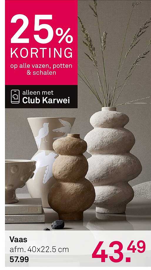 Vaas Aanbieding bij Karwei - FolderFeest.nl