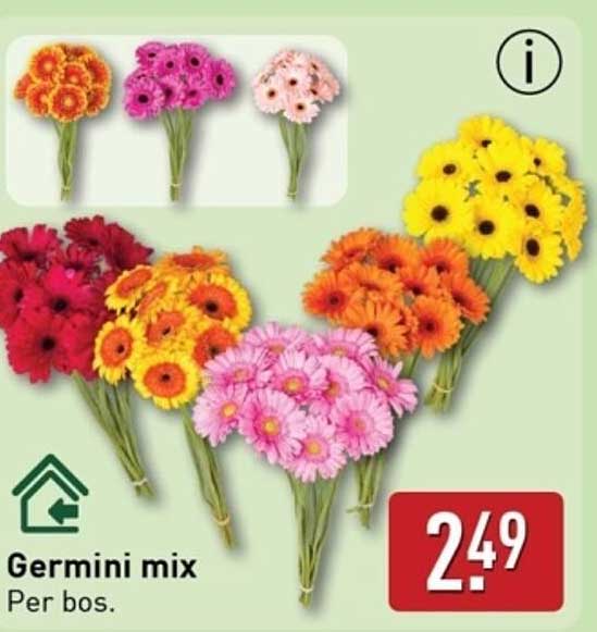 Germini Mix aanbieding bij ALDI