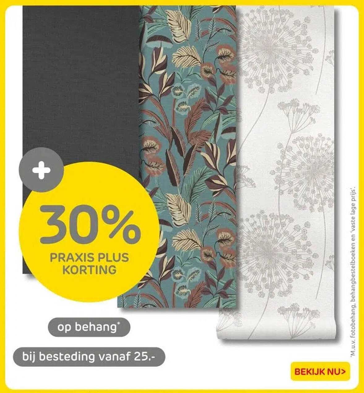 30% Prakis Plus Korting Op Behang* aanbieding bij Praxis