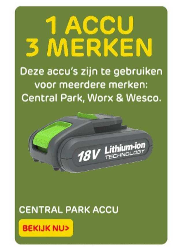 Central Park Accu aanbieding bij Praxis