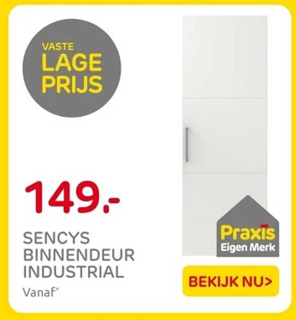 Sencys Binnendeur Industrial Aanbieding bij Praxis - FolderFeest.nl