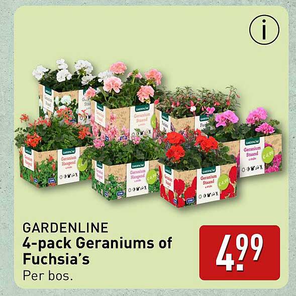 Gardenline 4-Pack Geraniums Of Fuchsia's aanbieding bij ALDI