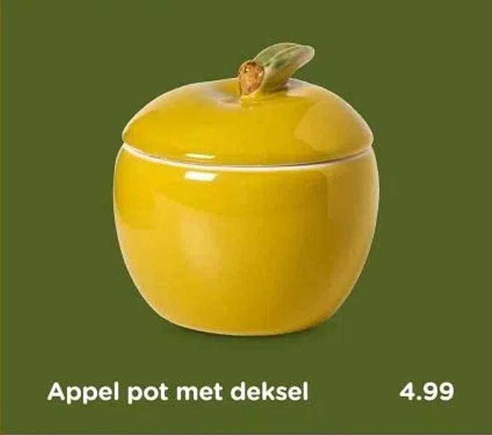 Opbergbox Met Deksel Aanbieding bij Action - FolderFeest.nl