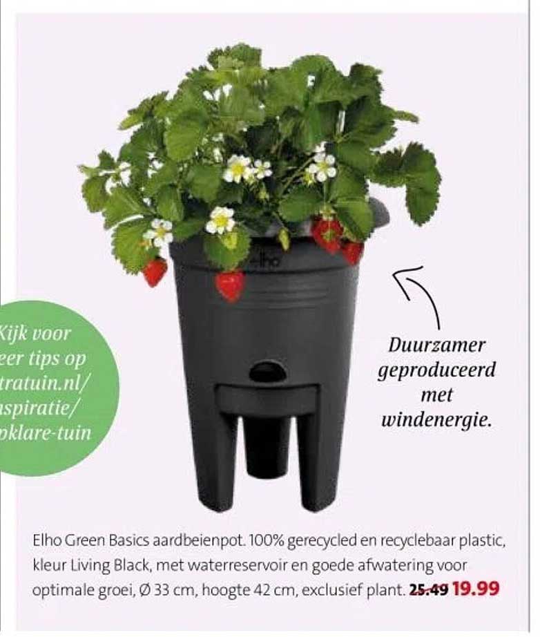 Elho Green Basics Aardbeienpot aanbieding bij Intratuin