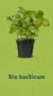 Bio Basilicum aanbieding bij Lidl