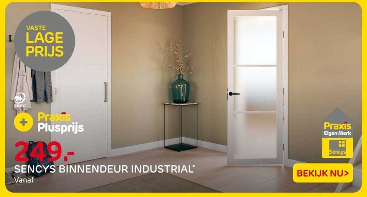 Sencys Binnendeur Industrial Aanbieding bij Praxis - FolderFeest.nl