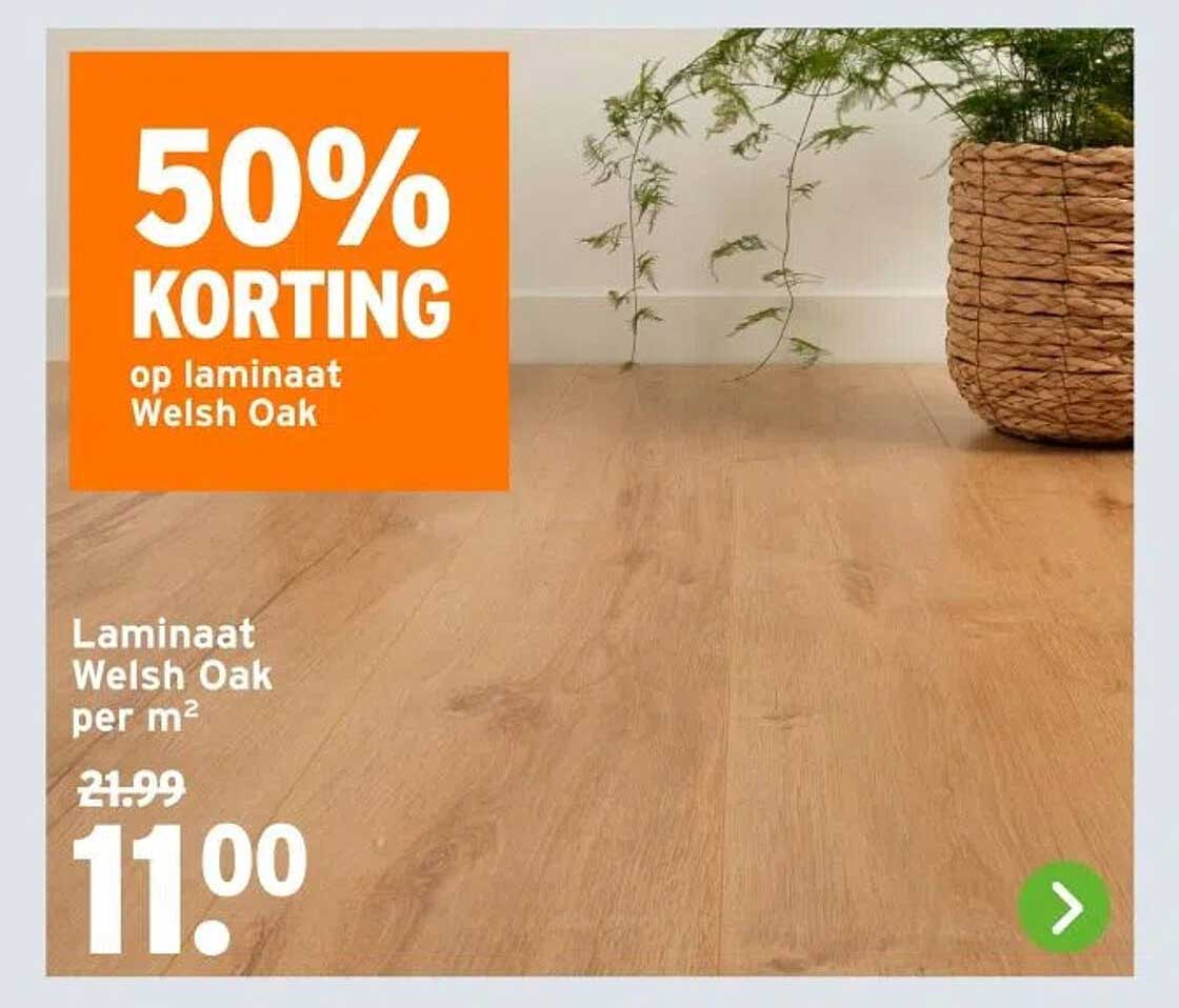 Laminaat Welsh Oak Aanbieding bij GAMMA - FolderFeest.nl