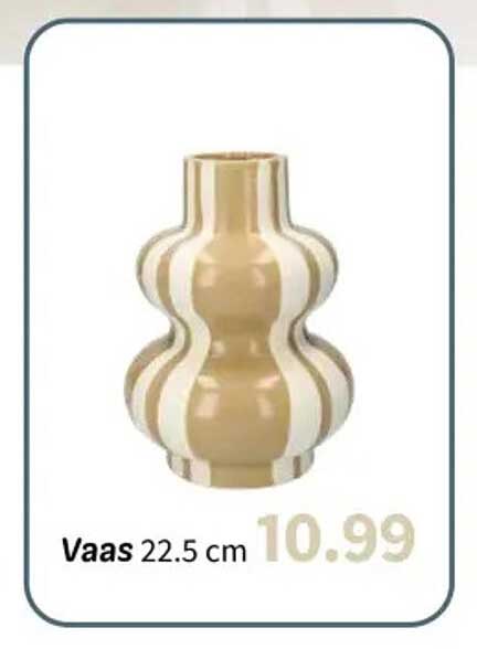 Vaas 22.5 Cm Aanbieding bij Wibra - FolderFeest.nl