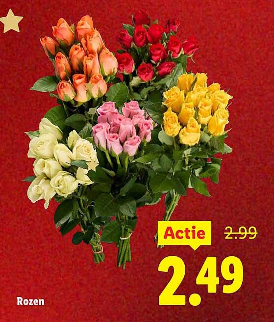 Rozen Aanbieding bij Lidl - FolderFeest.nl