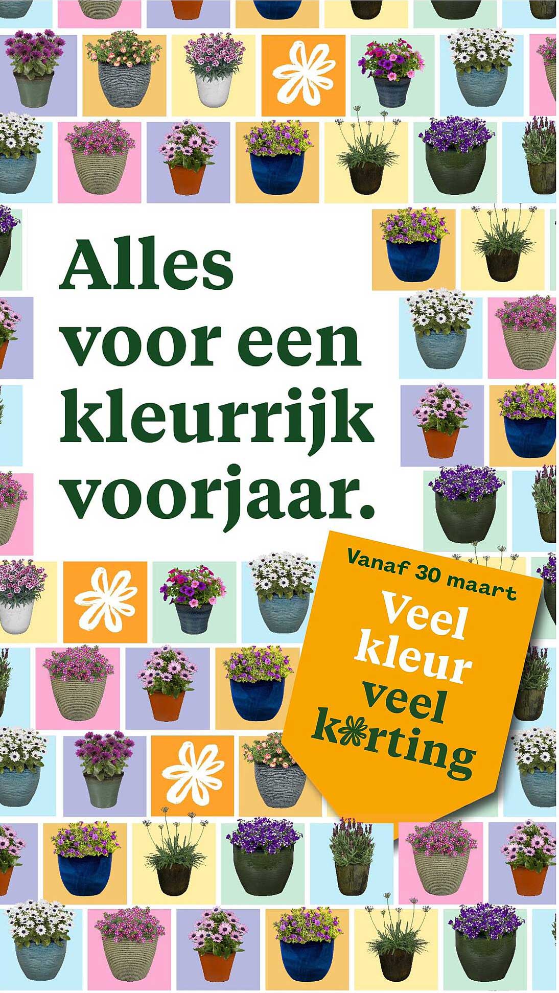 Alles Voor Een Kleurrijk Voorjaar. Aanbieding bij Welkoop - FolderFeest.nl