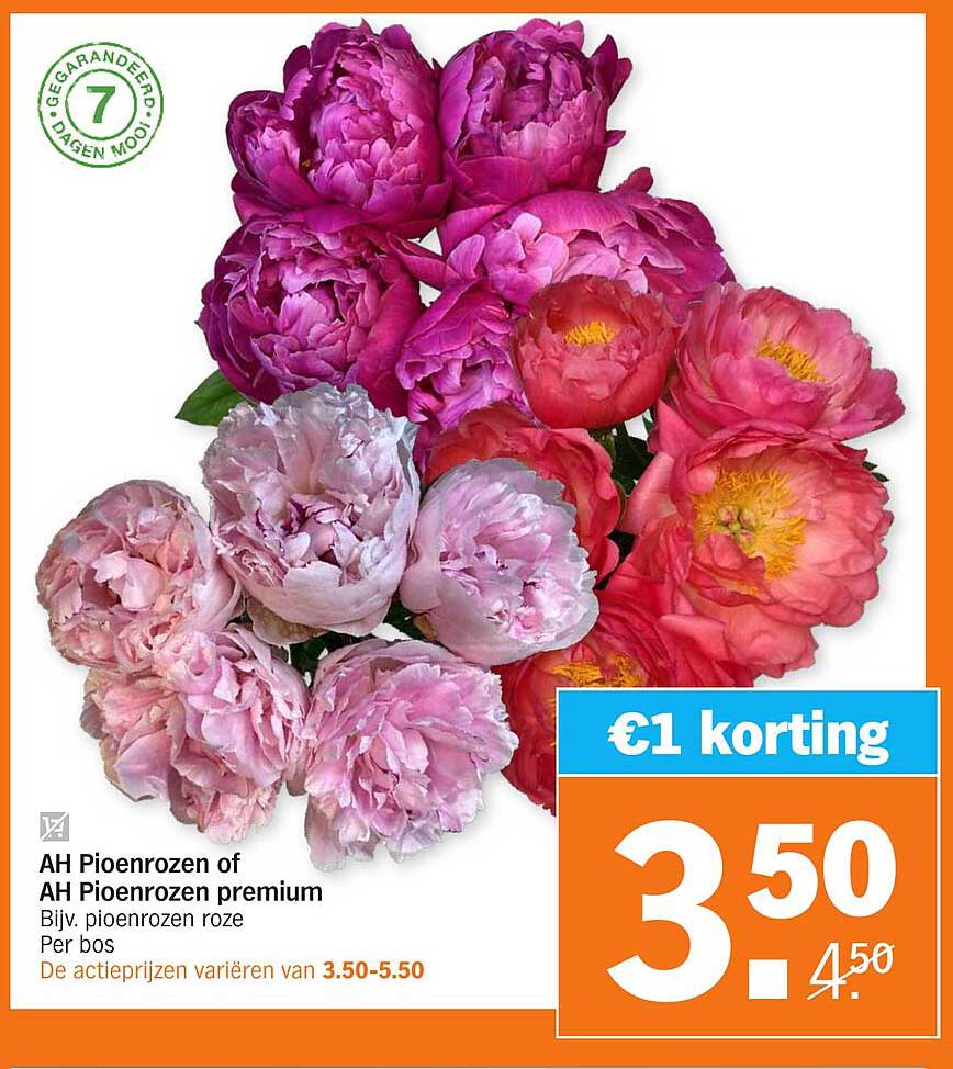 Ah Pioenrozen Of Ah Pioenrozen Premium Aanbieding bij Albert Heijn ...