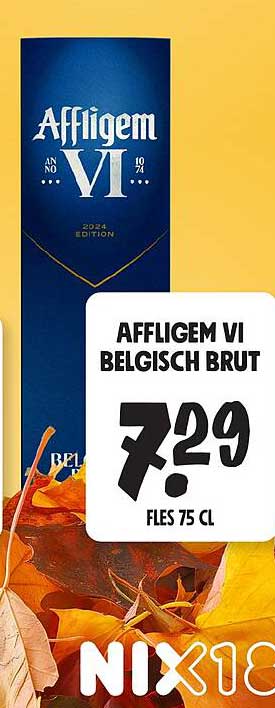 Affligem Vi Belgisch Brut aanbieding bij Jumbo