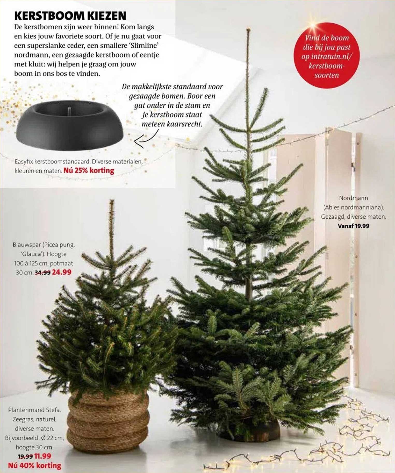 Kerstboom Kiezen Aanbieding bij Intratuin - FolderFeest.nl
