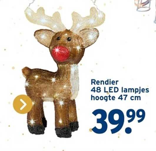 Rendier aanbieding bij GAMMA