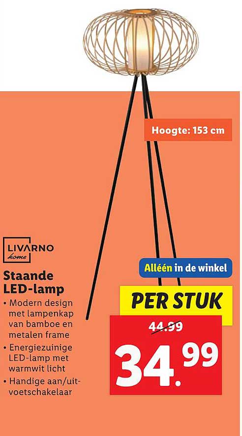 Staande Led-Lamp aanbieding bij Lidl
