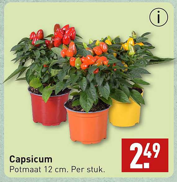 Capsicum Aanbieding bij ALDI - FolderFeest.nl